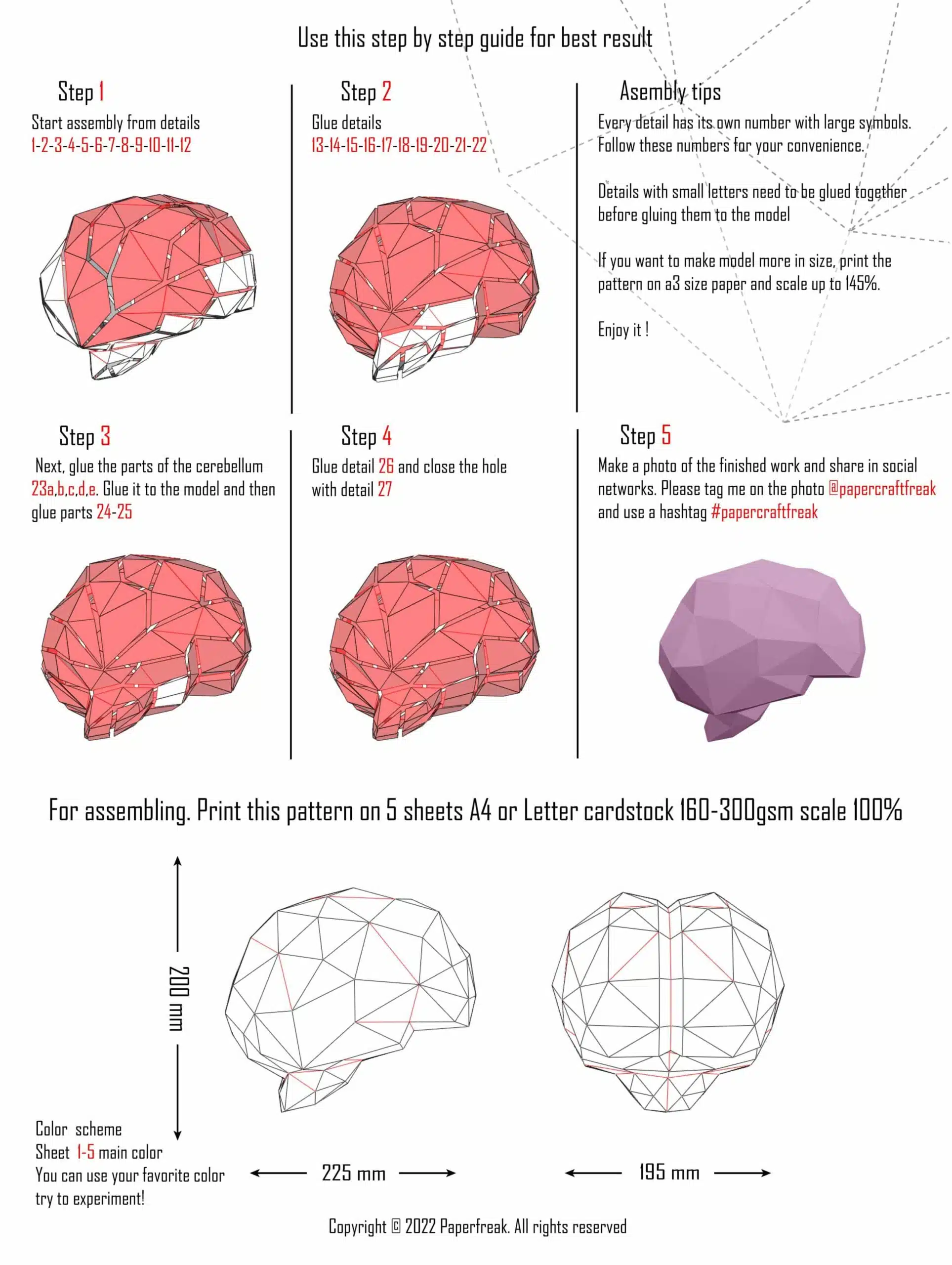 Papercraft cerveau 3D anatomique - Sculpture papier DIY